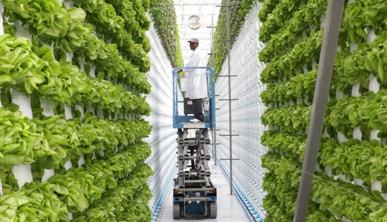 垂直農法 Vertical Farming - 駐日イスラエル大使館 経済部